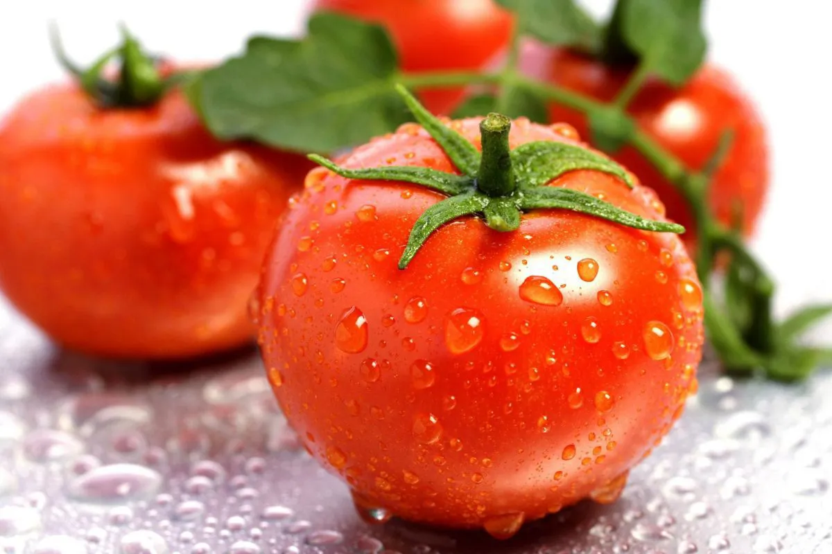 Understanding Lycopene — A Powerful Skin Health Nutrient | QNet India