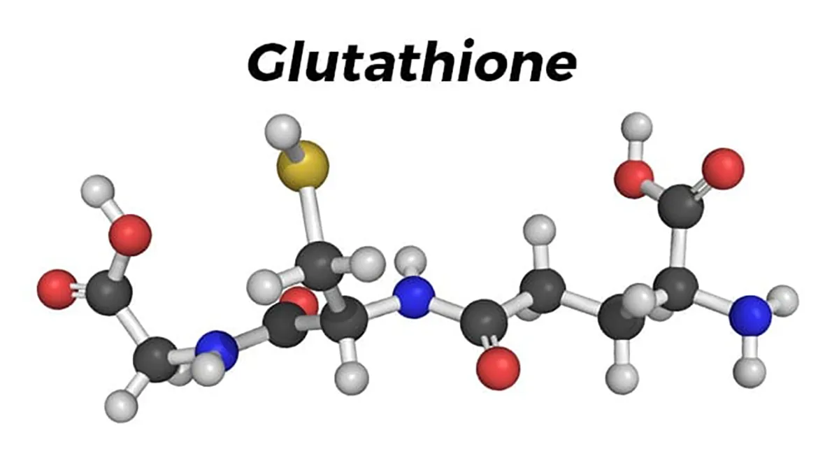 Glutathione – Understanding the Powerful Master Antioxidant